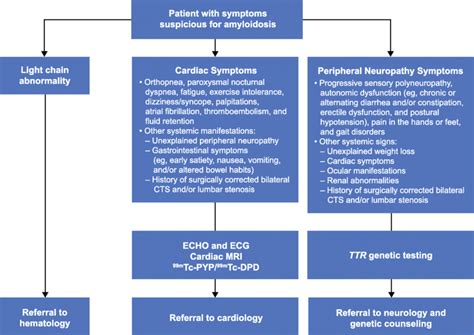 A General Practitioners Algorithm For Increased Suspicion And Download Scientific Diagram