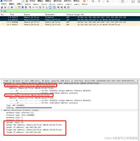 基于 Wireshark 分析 Arp 协议 阿里云开发者社区