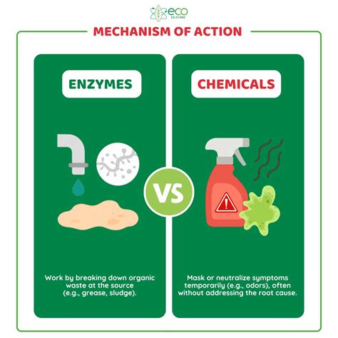 Eco Solutions Sustainable Enzyme Solutions Tailored For Hospitality