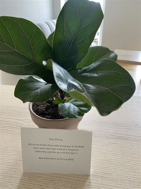 Zhihua Cecilia Zhang On Linkedin Consulting Customerengagement Digitaltransformation Ai