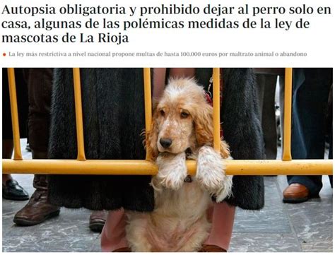 La Nueva Y Polémica Ley De Mascotas De La Rioja Tiene Varios Puntos Que Se Podrían Haber