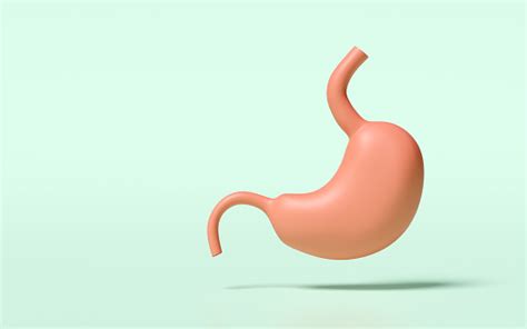 3d 인간의 위 아이콘은 녹색 배경에 고립되어 있습니다 3d 일러스트레이션 렌더링 3차원 형태에 대한 스톡 사진 및 기타 이미지 3차원 형태 건강관리와 의술 결장