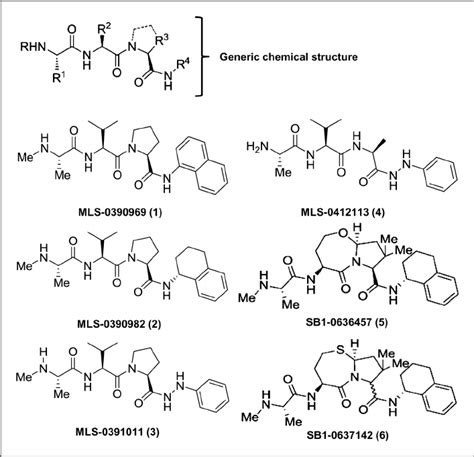 IAP Antagonist Structures Structure Of The Generic Core And Individual Download Scientific
