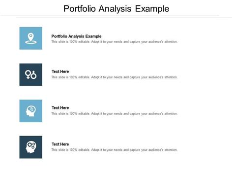 Portfolio Analysis Example Ppt Powerpoint Presentation Infographic Template Guidelines Cpb