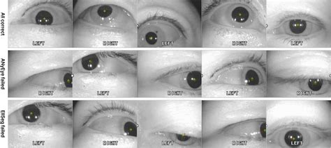 Examples Of Tracking Algorithm Result Green Circle Indicates The