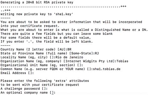 Openssl Ca To Sign Csr With Sha256 Sign Csr Issued With Sha 1 Its Full Of Stars