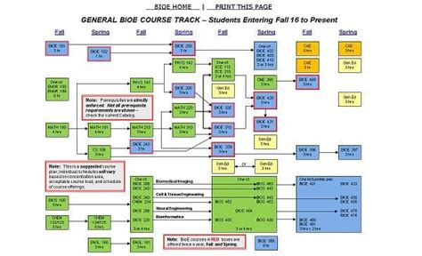 Biomedical Engineering Major Richard And Loan Hill Department Of Biomedical Engineering