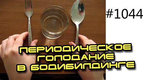 Периодическое голодание и бодибилдинг. Голодание сухое, лечебное ...