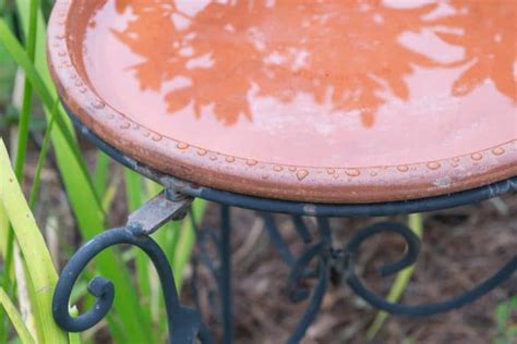 Diy Bird Bath With Waterproof Terra Cotta · Nourish And Nestle