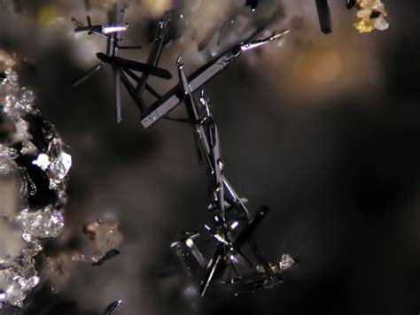 Selenio Número Atómico Tabla Periodica Gaia