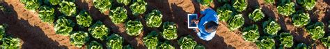 Private Data Networks In Agriculture Pierson Wireless