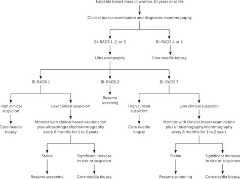 male breast mass algorithm at merle mercer blog