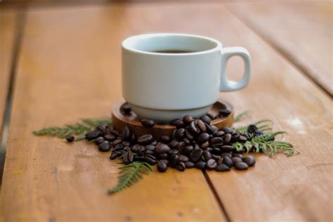 Quezon 갈색 컵 고사리 장식 고요한 분위기 기분 좋은 향기 따뜻한 음료 따뜻함 매력적인 분위기 모닝 커피 목조 테이블 블랙 커피 소박한 분위기