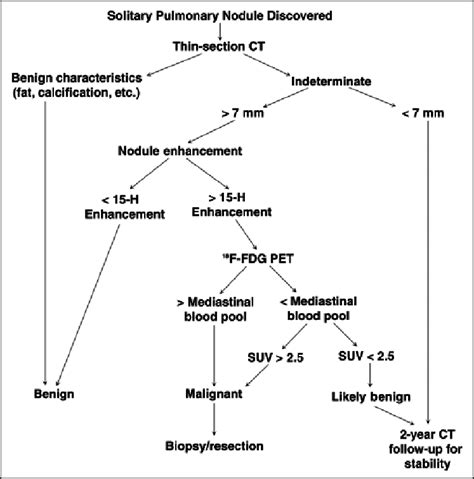 Proposed Algorithm For Evaluation Of Newly Found Solitary Pulmonary Download Scientific Diagram