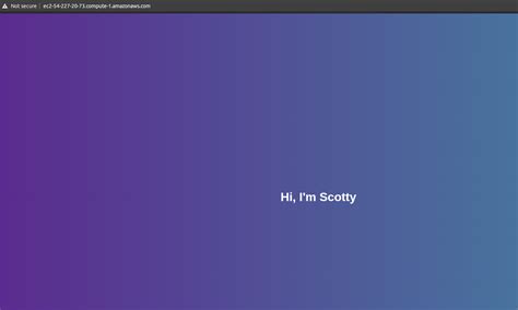 Aws Terraform Nginx Ansible Docker Jenkins