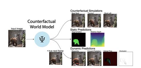 Stanford Researchers Introduce Cwm Counterfactual World Modeling A Framework That Unifies