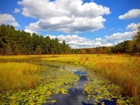 Boundless Beauty History And Mystery Awaits Within N J S Expansive