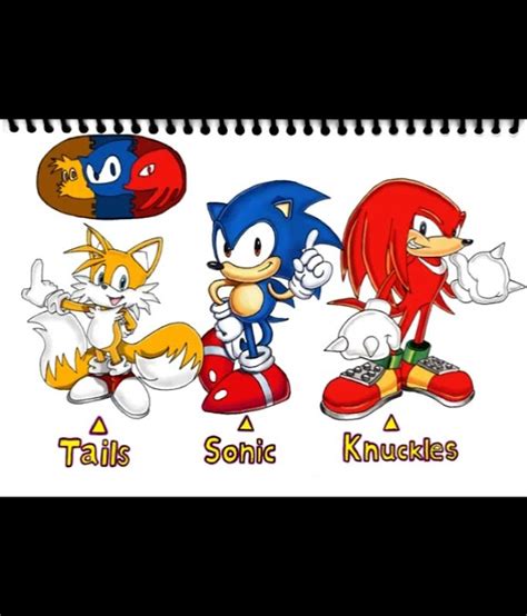 소닉and테일즈and너클즈 14 3sec Drawing Sketch Art Sonic Knuckles Tails ドローイング スケッチ アート 绘图 Nghệ