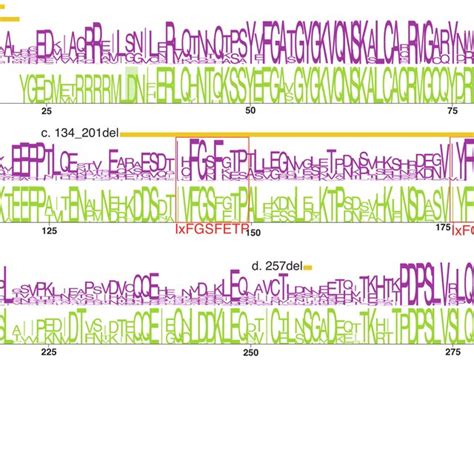 Amino Acid Sequences Of The N Terminal Half Of The P1 Proteins The Download Scientific Diagram