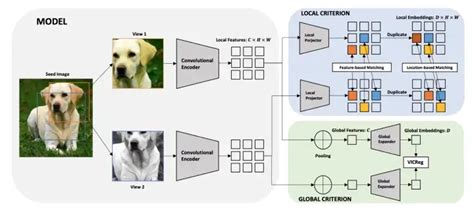 Self Supervised Learning Trends And What To Expect In