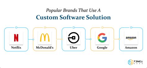 Custom Software Development Types And Examples