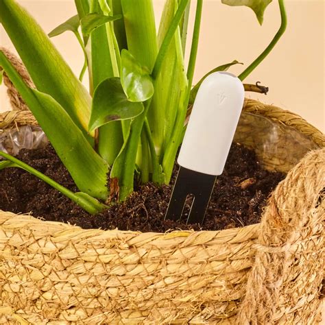 Gadgets Voor Planten Slimme En Handige Hulpmiddelen