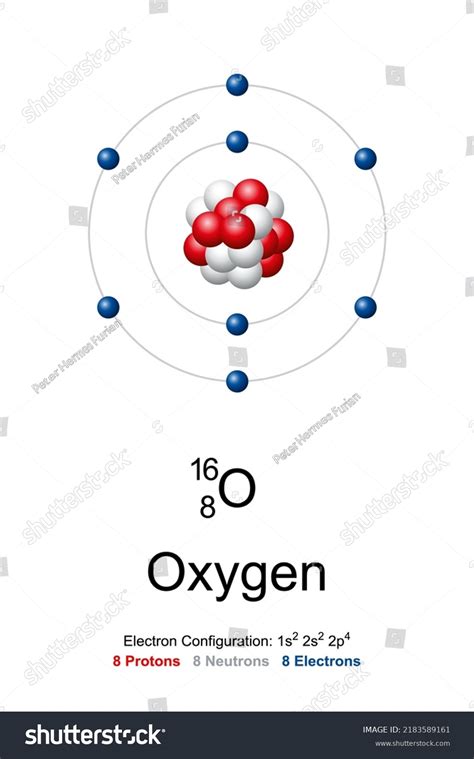 Oxygen Atom Model Chemical Element With Symbol Royalty Free Stock Vector 2183589161 Avopix Com