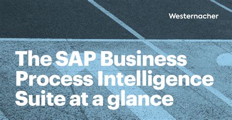 The SAP Business Process Intelligence Suite At A Glance Westernacher