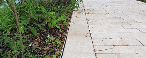 Creative Garden Edging Ideas Perfect For All Abilities Alusthetic