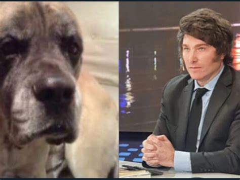 Conán El Perro Clonado De Javier Milei ¿en Qué Consiste Este