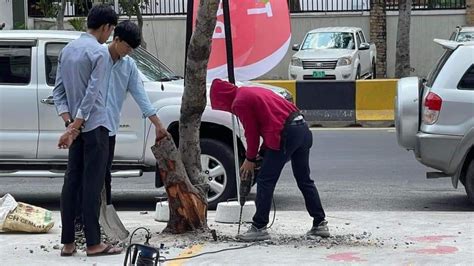 Update អាជ្ញាធរបញ្ជាអោយ ម្ចាស់ហាងបេប៊ីអាវឡេត បំពានលើចិញ្ចើមផ្លូវចុះបុកគាស់សង្គ្រោះរុក្ខាវិញហើយ