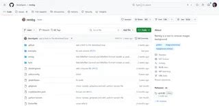 Github Css