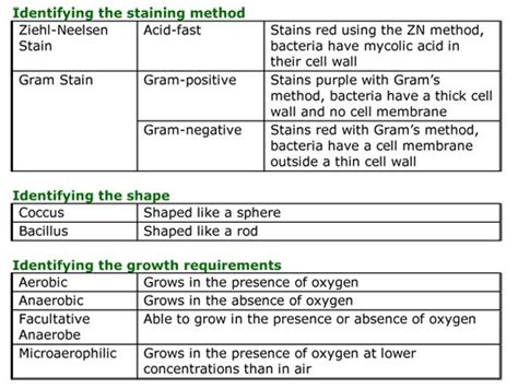Basic Bacterial Identification Microbiology Teaching Resource