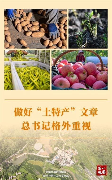 第一观察丨做好土特产文章，总书记格外重视四川在线