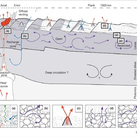 Schematic Representation Of Fluid Flow Regimes Within The Ocean Crust