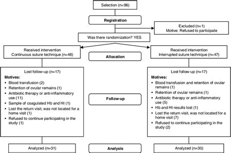 Fluxogram Of Participants In The Study From June To April Download Scientific Diagram