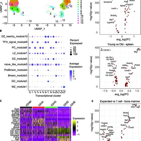 Single Cell Transcriptome Sequencing Of B Cells Reveals Organ
