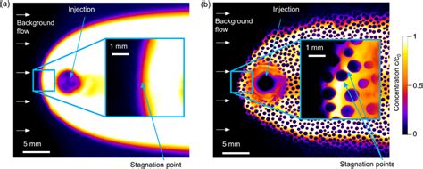 Examples Of Concentration Fields Measured In The Conservative Tracer Download Scientific