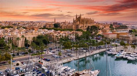 Ccit Opens The Tourism Consultancy Office In Palma De Mallorca Dhoma