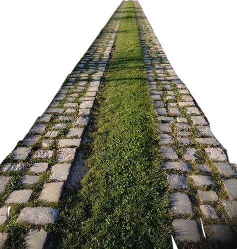 Grass Growing Between Cobblestone Walkways