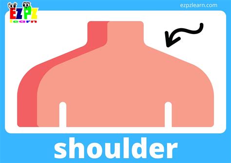 Body Parts Flashcards With Words