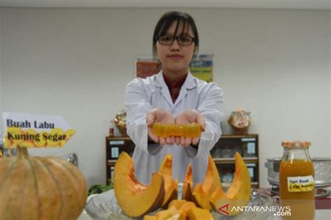 Bikin Awet Muda Labu Kuning Khasiat Kesehatannya Tokcer Jogja