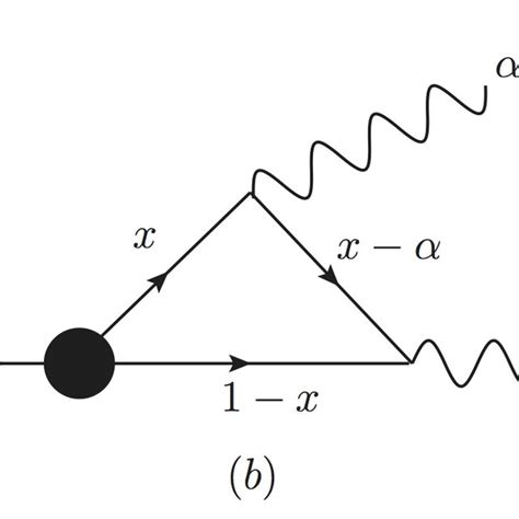 One Loop Feynman Diagrams That Contribute To P → γ γ The Single Download Scientific Diagram