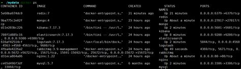 Mall在linux环境下的部署（基于docker容器） Mall学习教程