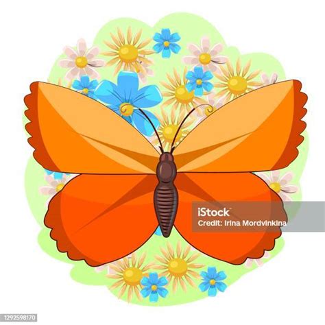 꽃과 추상적 인 배경에 오렌지 나비 밝은 아름다운 구성 흰색에 격리된 개체입니다 벡터 0명에 대한 스톡 벡터 아트 및 기타 이미지 Istock