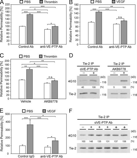 Inhibiting Ve Ptp Reinforces Endothelial Barrier Stability In Vitro And