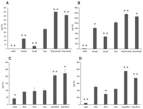 Effects Of Helicobacter Pylori And Nitrate Reducing Bacteria Coculture