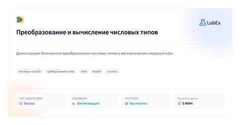 Преобразование и вычисление числовых типов Labex
