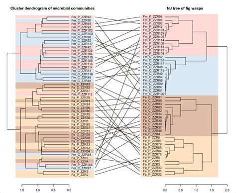 Left The Cluster Dendrogram Analysis Based On The Wardd2 Method Using