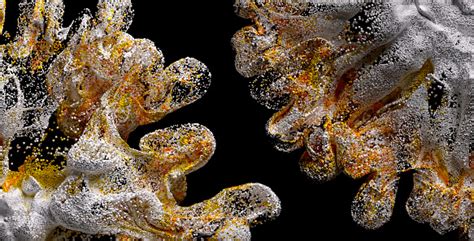 추상 예술의 3d 렌더링 곡선 선에 초현실적인 유기 액체 물질의 일부가 있는 3d 배경 작은 공 구체를 기반으로 한 먼지 입자 노란색 금색과 검은색 흰색 색상의 먼지 입자